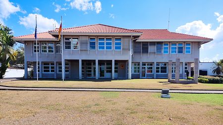 Jan Hendrik van Thiel, Ambassador - Federal Foreign Office